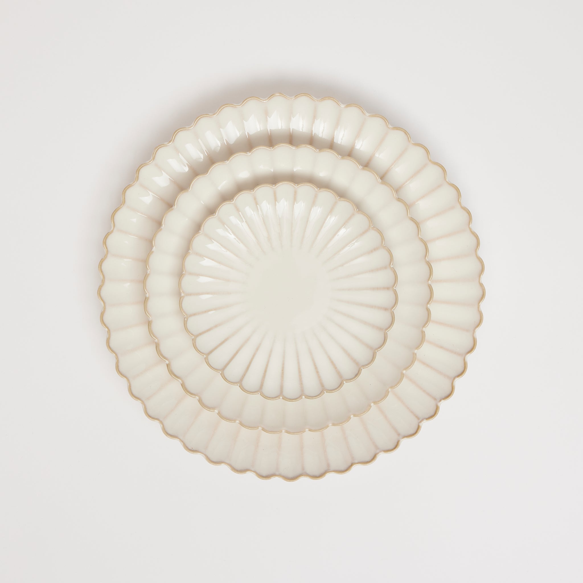 Rent: Scallop Shell Set